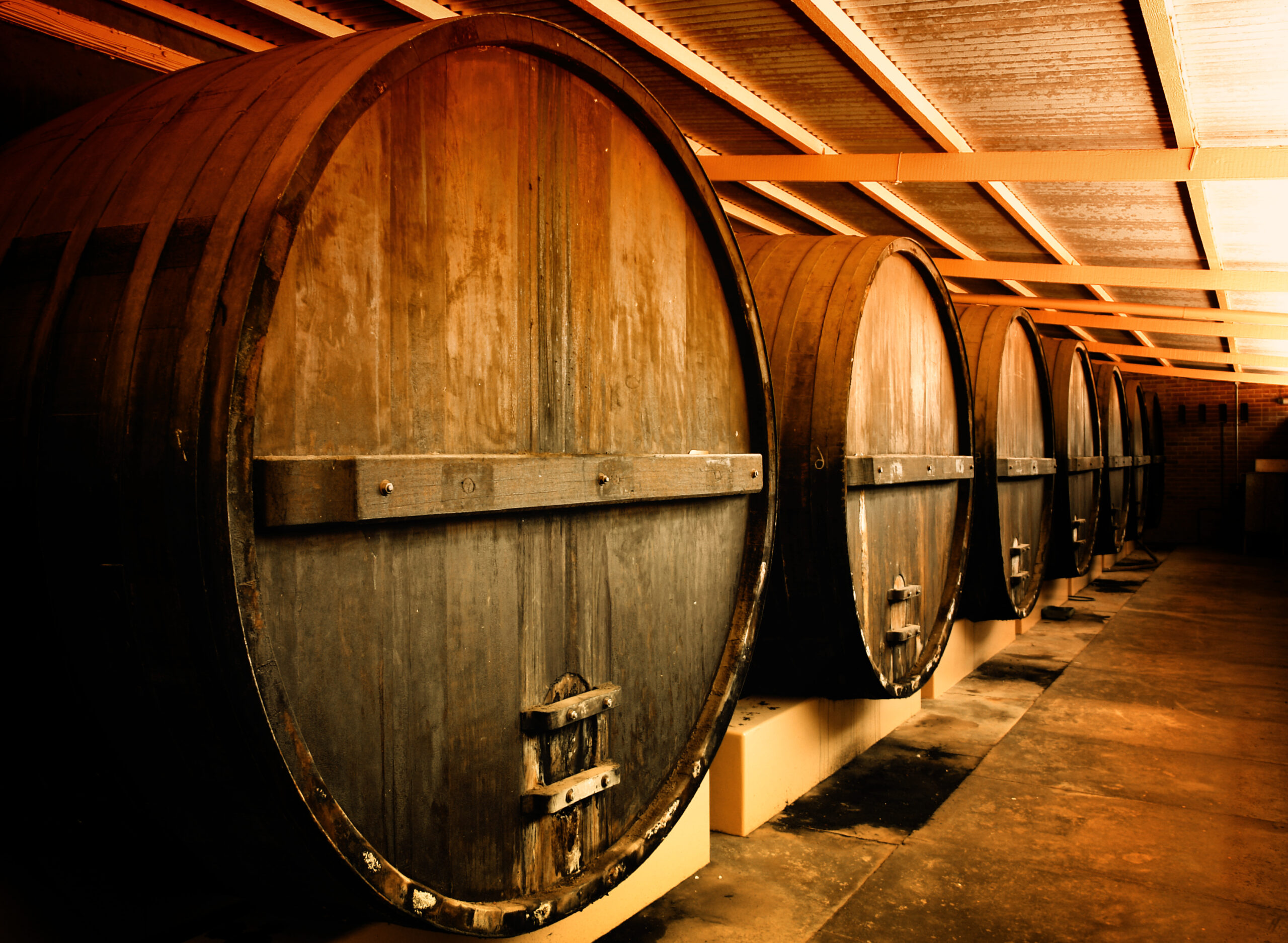 Wine Tasting Cellar in Barcelona: The Best Places to Savor Local Wines ...